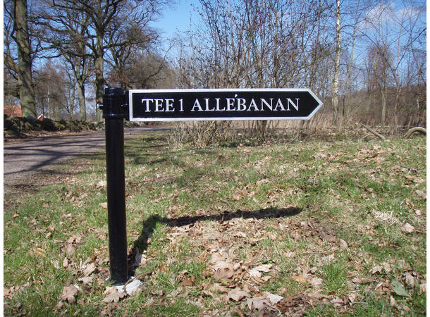 Retningsviser i metall "Silverline" - PGM.no